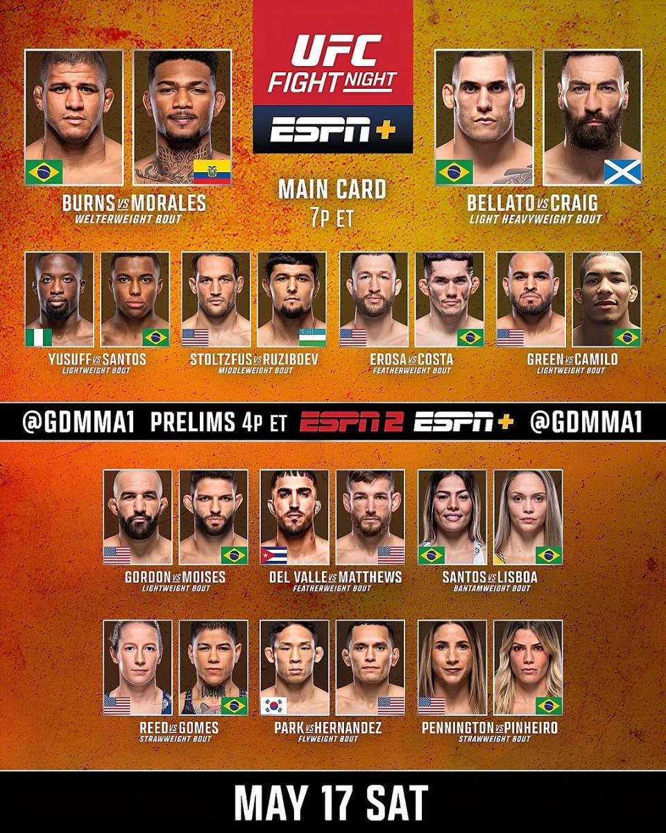 Cartelera, horario y dónde ver UFC Vegas 106 en España - VAVEL España