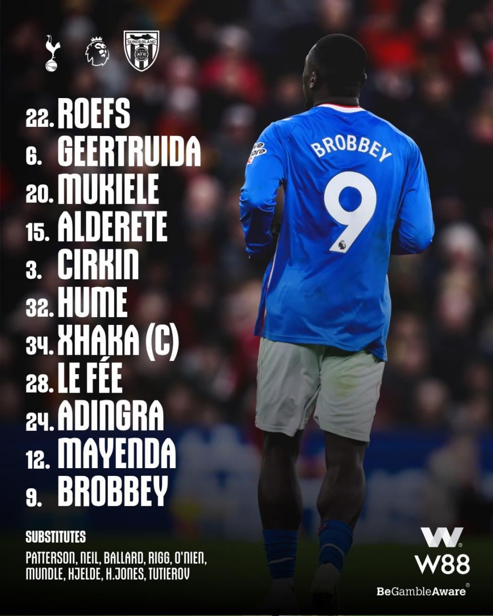 Highlights and goals of Tottenham vs Sunderland (1-1) in Premier League ...