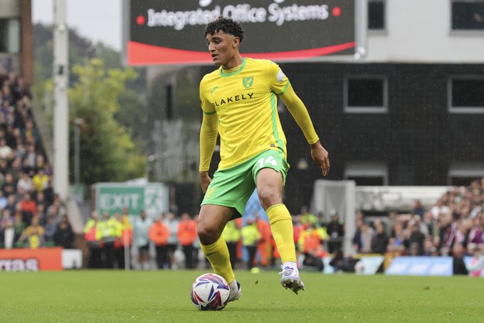 Norwich City 1-1 Sheffield United: Spoils shared after close contest on ...