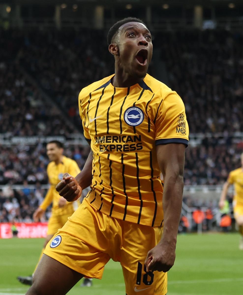 Un Welbeck incansable da la victoria al Brighton - VAVEL España