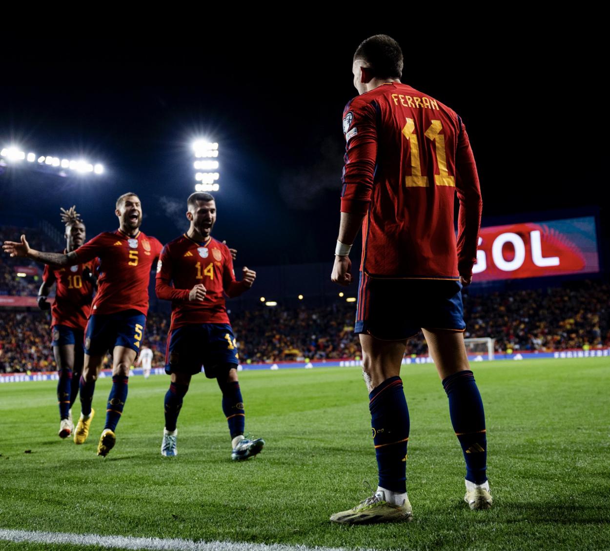 El tiburón, ¿villano de una historia mal contada? - VAVEL España