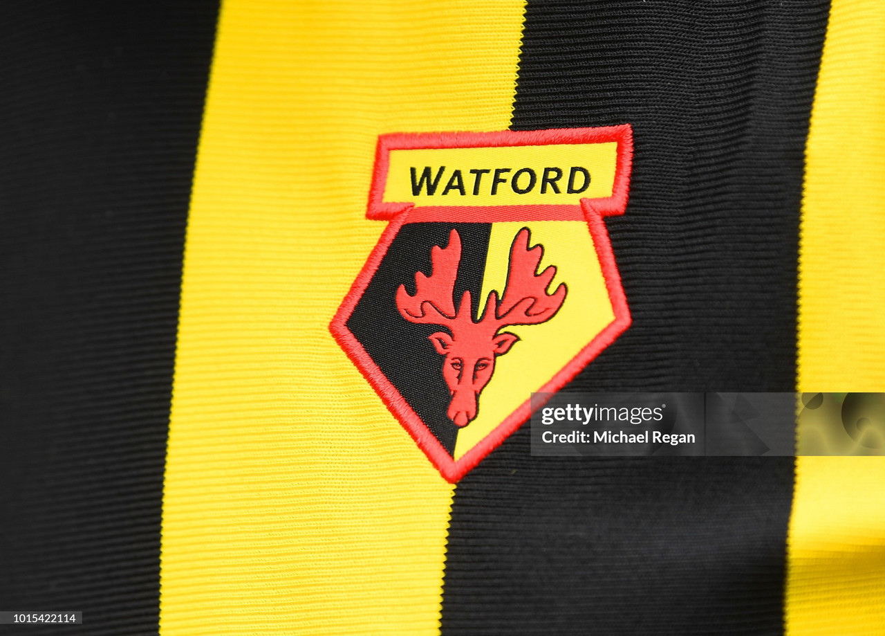 Watford FC: Can Pozzo and Pezzolano turn the tide at Vicarage Road ...
