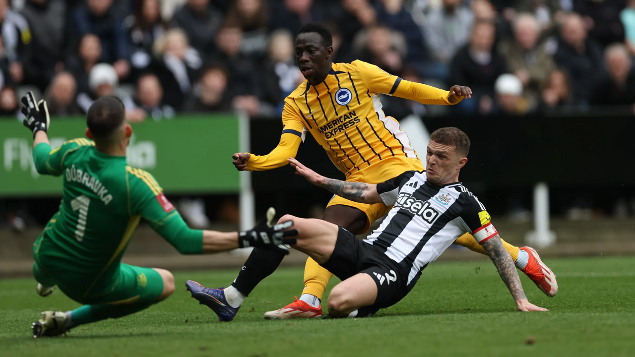 Un Welbeck incansable da la victoria al Brighton - VAVEL España